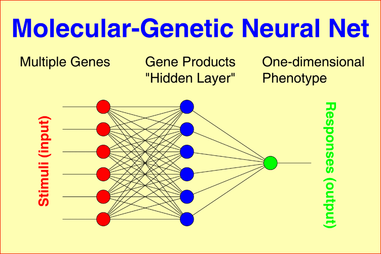 Genotype-to-Phenotype Research Strategies